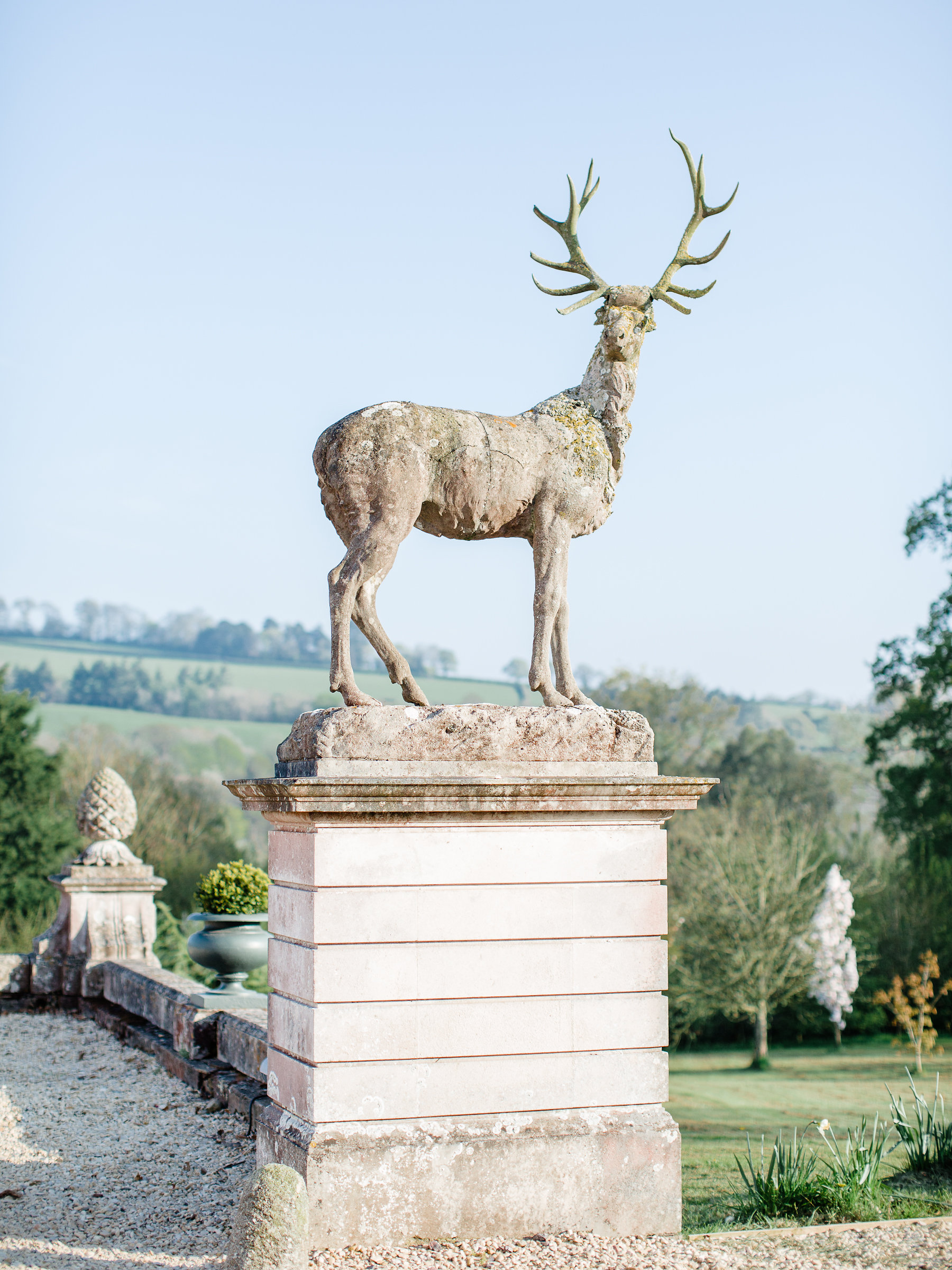 Pynes House, Devon Wedding Venue - The White Edit